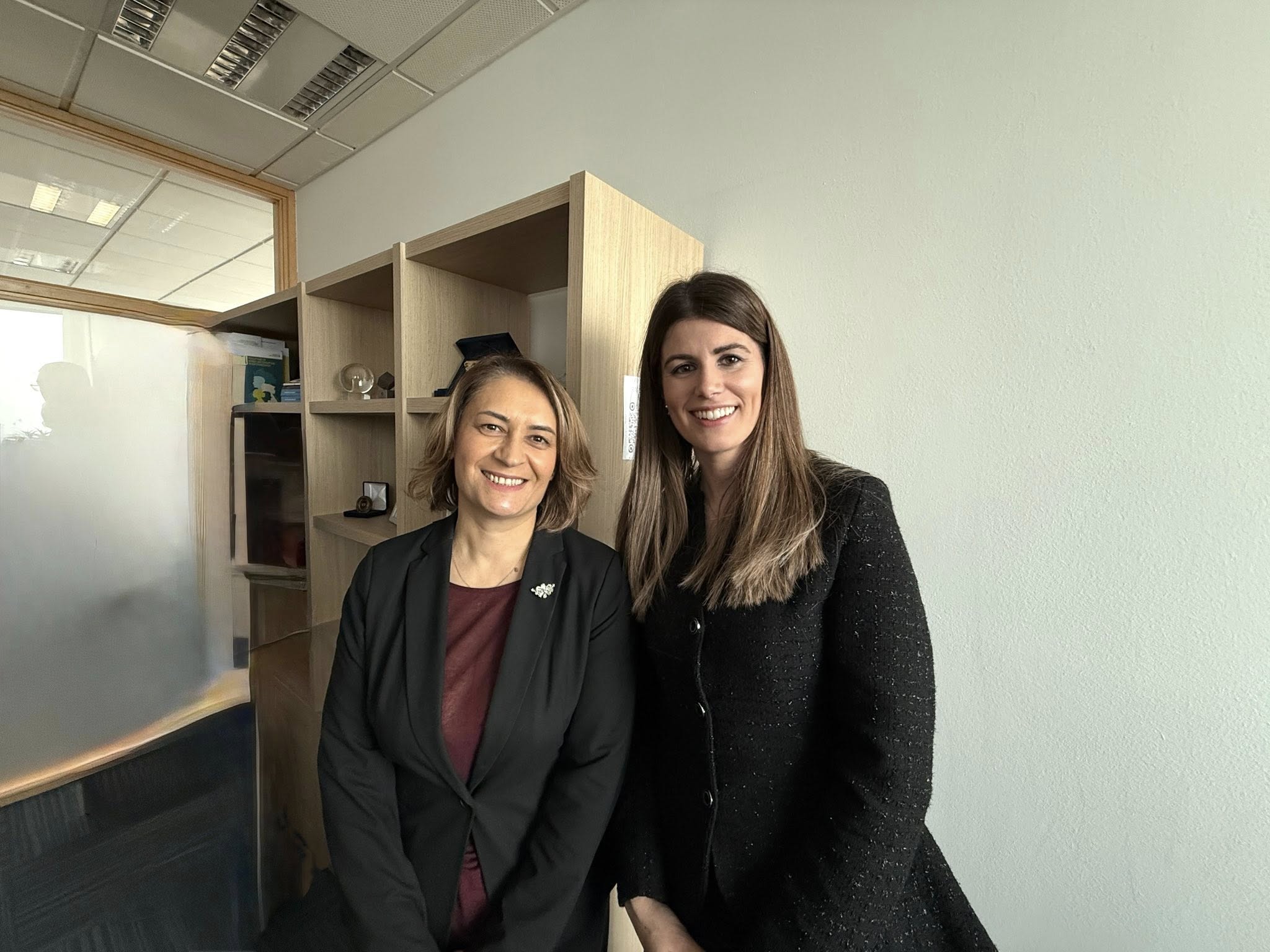 Integrity in Action: RAI Holds 47th Steering Board Meeting in Sarajevo ...